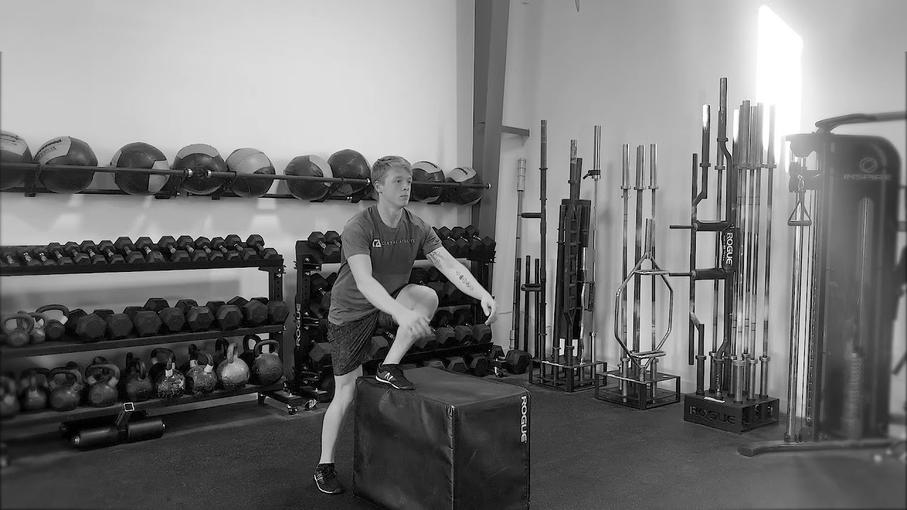 Knees Over Toes Step-Up - YouTube