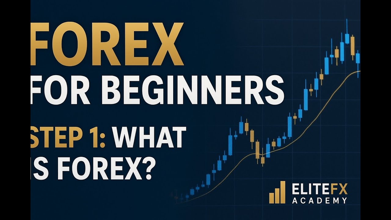Forex Trading for Beginners | What is Forex & How It Works (EliteFX ...