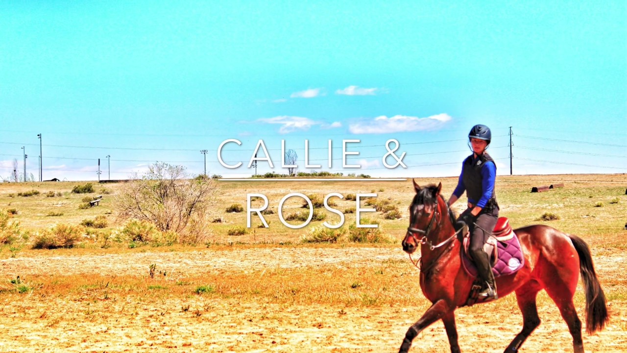 Callie & Rose Spring Schooling - YouTube