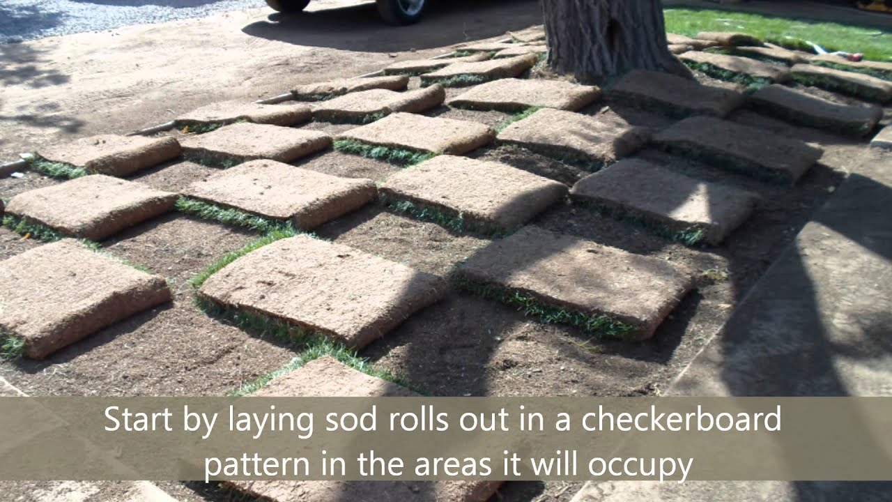 A Sod Installation 'How-To' In 10 Steps - YouTube