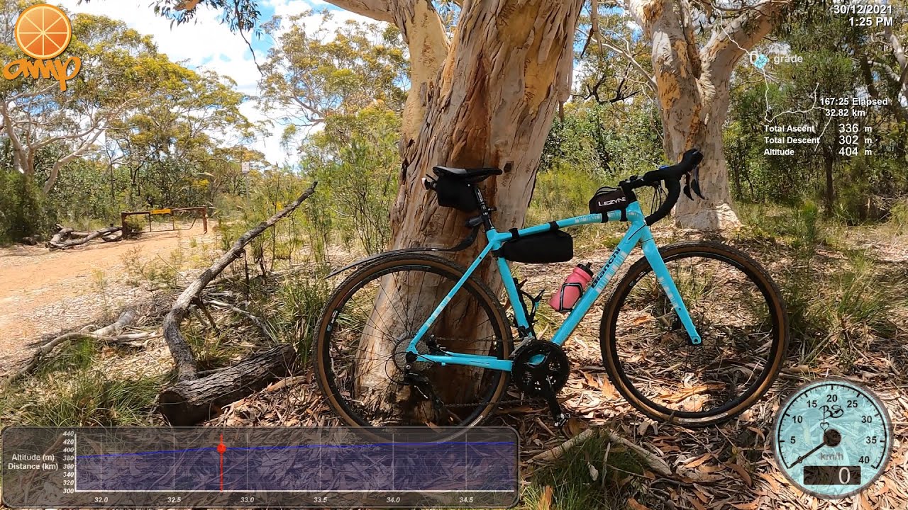 Darkes Forest Gravel Ride 4K - YouTube