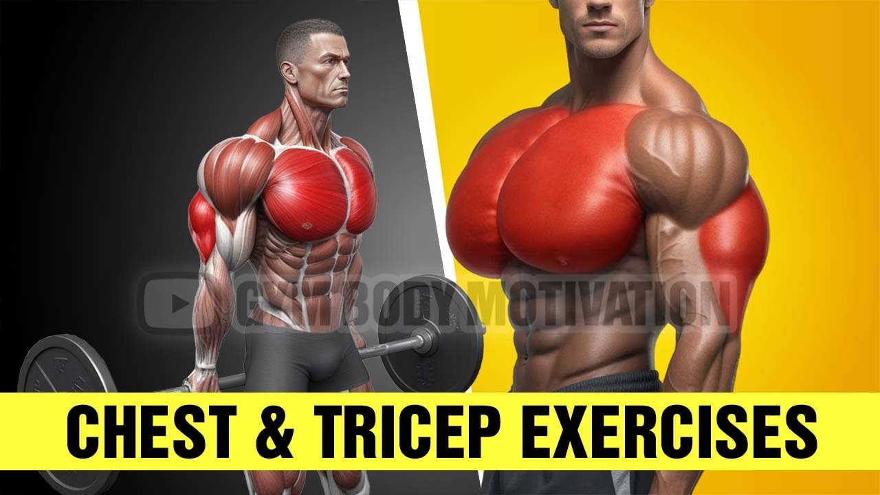 6 Best Chest And Tricep Workouts For Building Muscle - YouTube