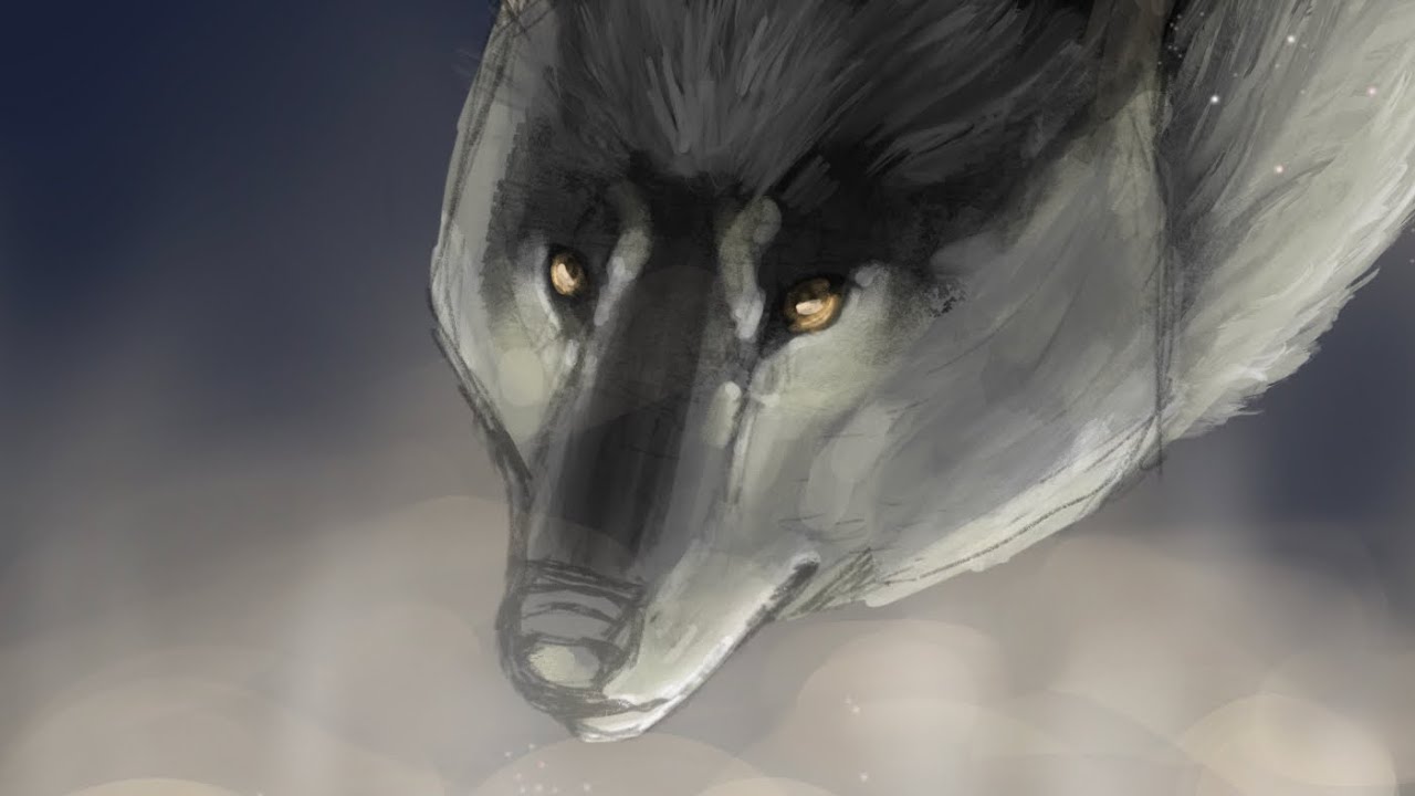 Wolf Speedpaint - Procreate - YouTube