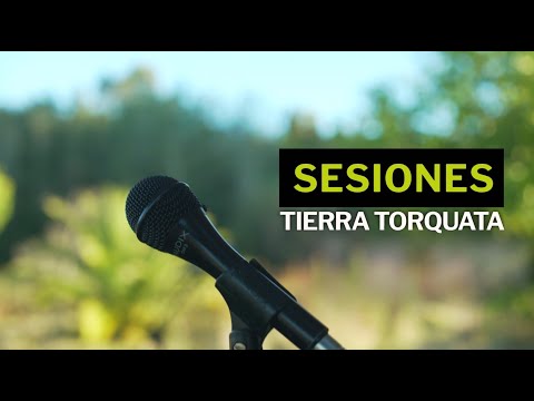 CHICAS JAPONESAS - Niña Calavera (Sesiones / Tierra Torquata) @chicasjaponesasmvd ​