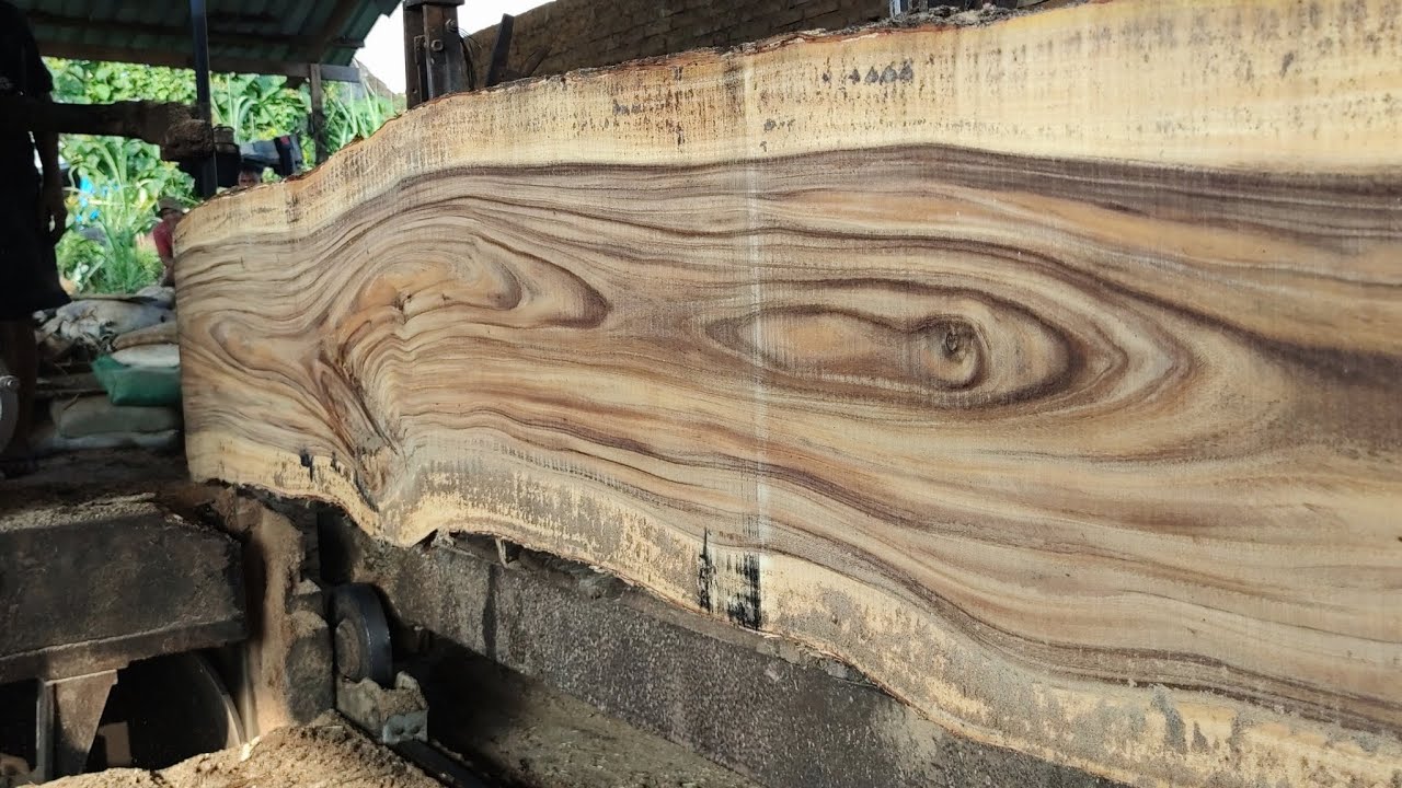 Pancaran corak warna serat kayu yang luar biasa di penggergajian kayu ...