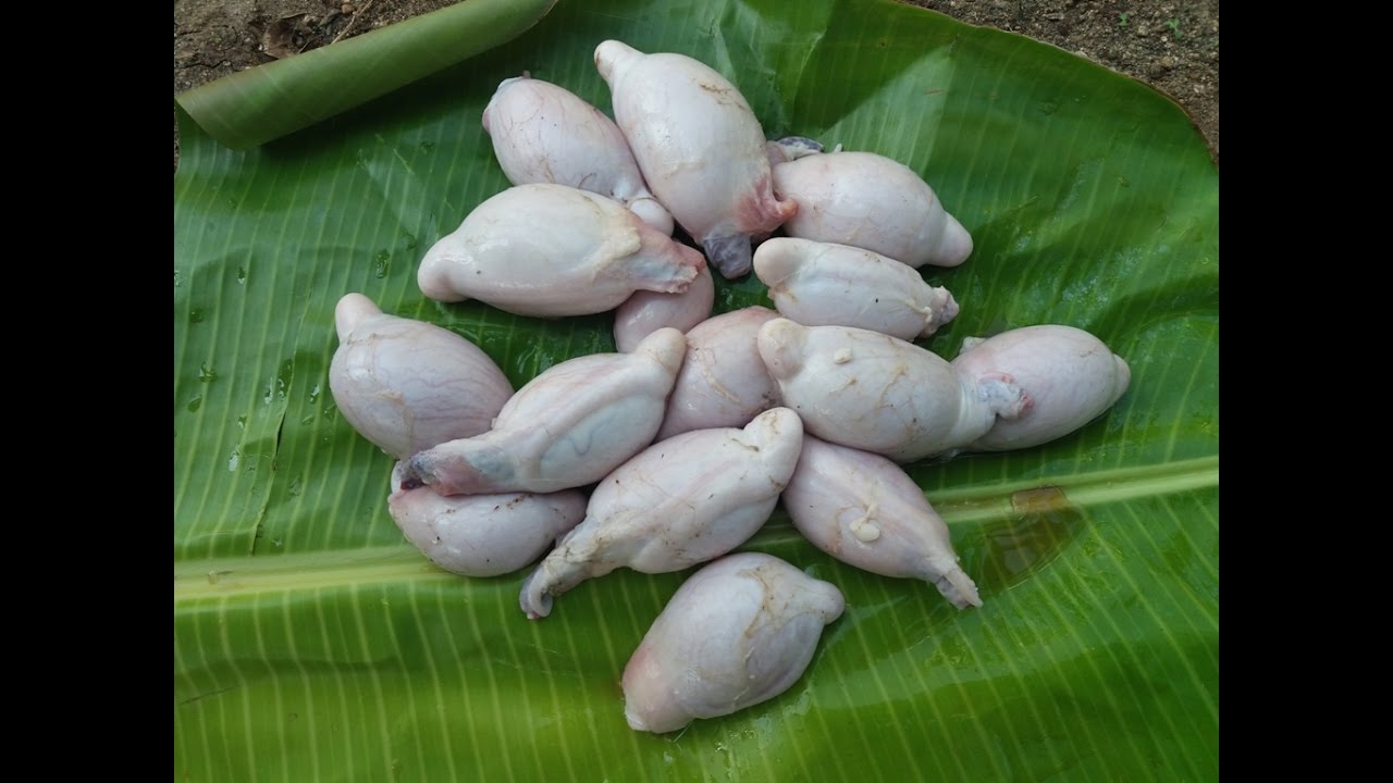 Deep Frying Lamb Testicles in Ghee by My Uncle - My Village Food - YouTube