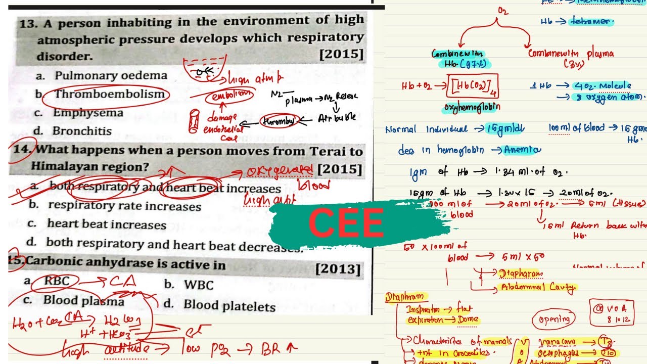 CEE RESPIRATORY SYSTEM PYQ QAD FOR CEE - YouTube