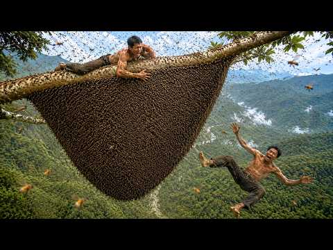 Slipped on a 150-Meter Tree! The Biggest Nightmare of a Wild Honey Hunter