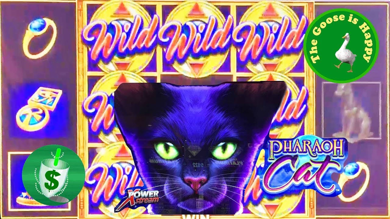 😄 ++NEW Pharaoh Cat slot machine, Happy Goose - YouTube