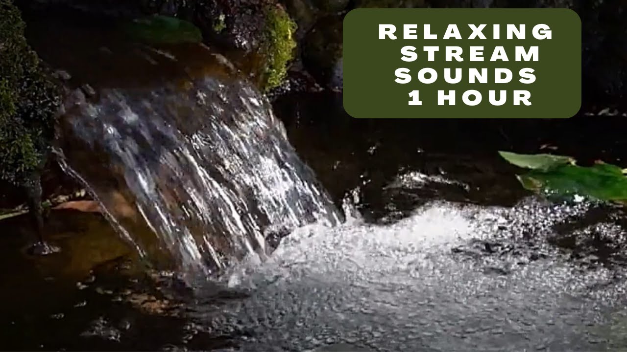 Relaxing Stream Sounds for 1 Hour | Water Sounds of Nature for Sleep ...