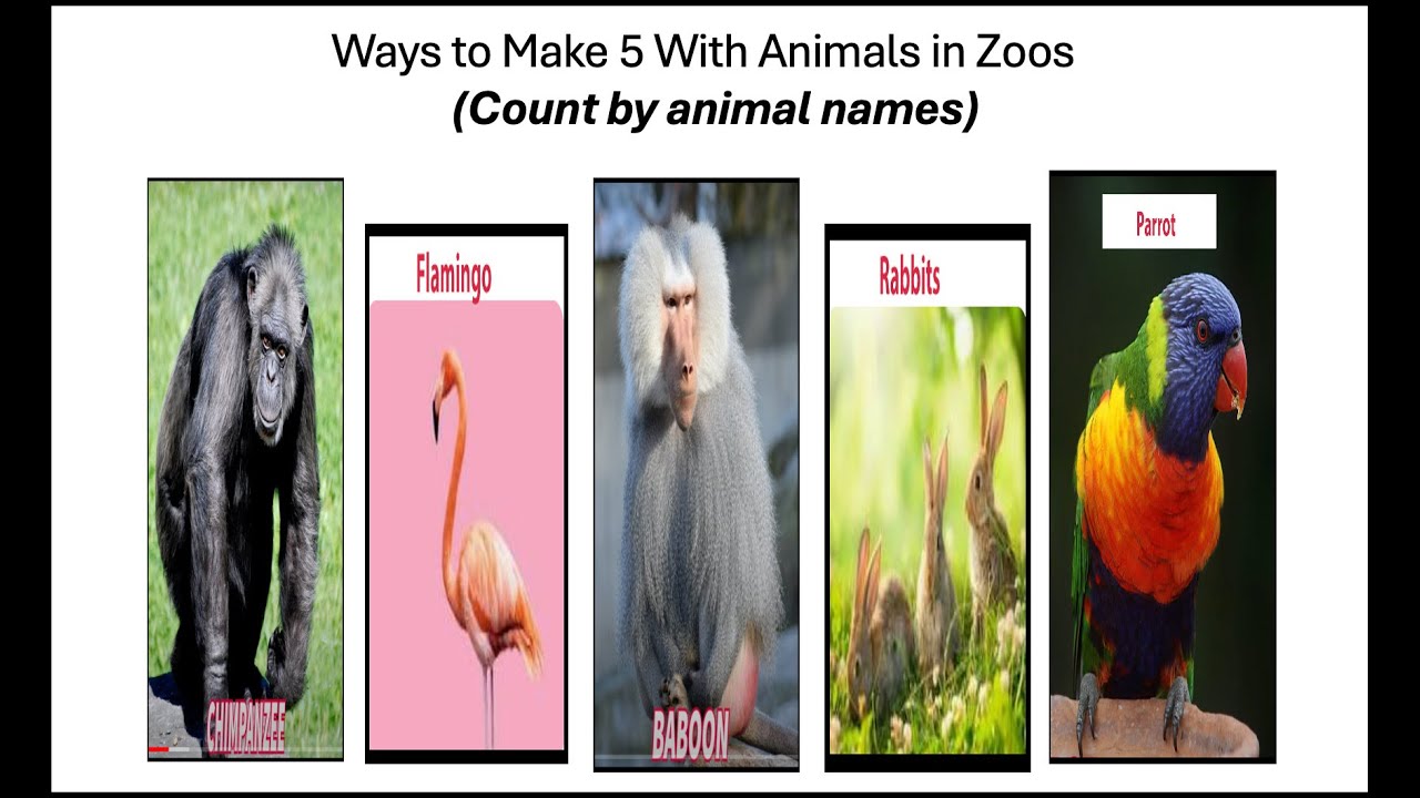 Fun With Numbers by Adding Ways to Make 5 With Animals in Zoos #4 - YouTube