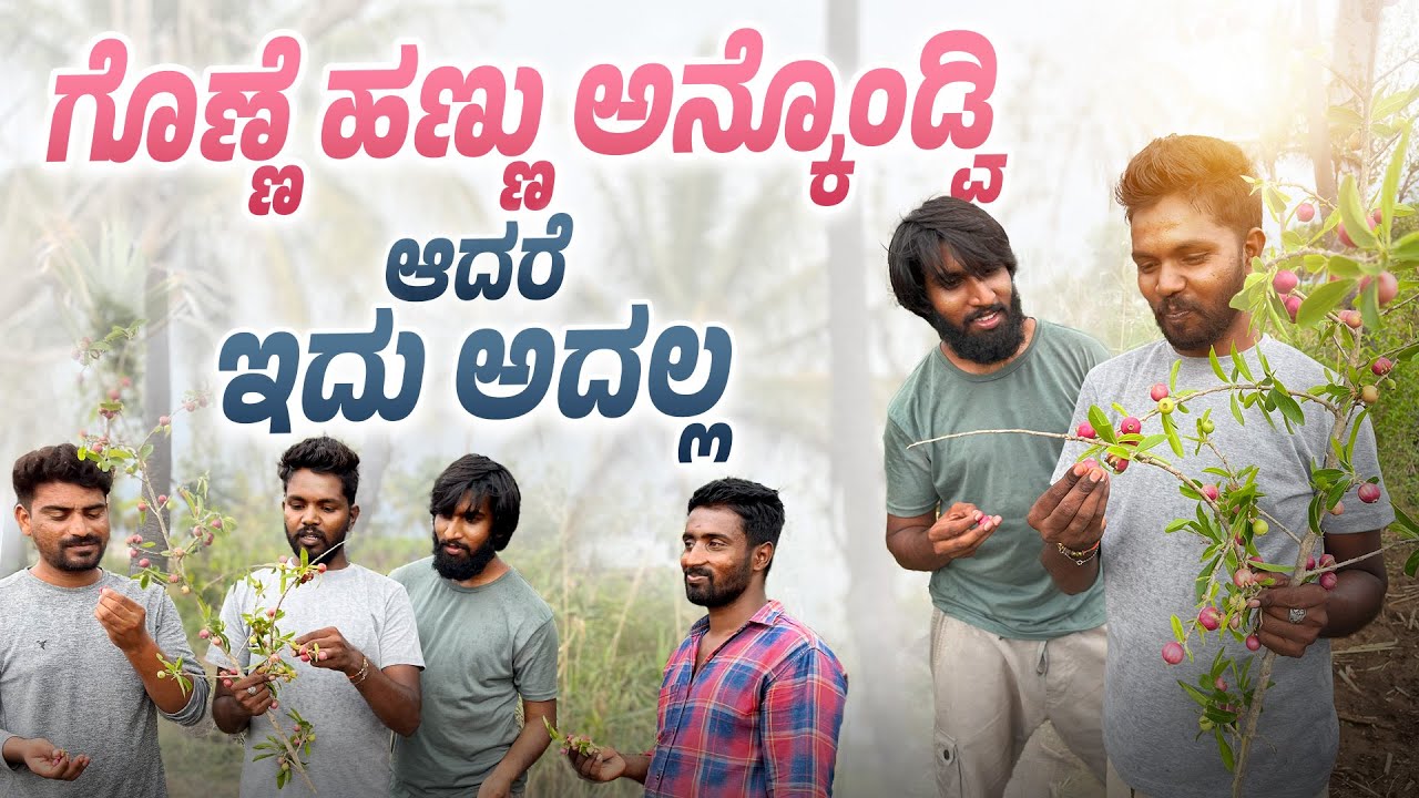 ಗೊನ್ನೆ ಹಣ್ಣು (ಪ್ರಕೃತಿಯ ಗುಪ್ತ ರತ್ನ) Discovering Gonne Hannu in Kollegala ...