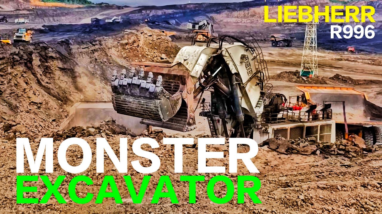 KESEMPATAN YANG SANGAT LANGKA BISA MELIHAT DARI DEKAT AKSI MONSTER ...