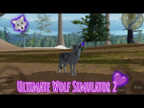 Playing Ultimate Wolf Simulator 2 - YouTube