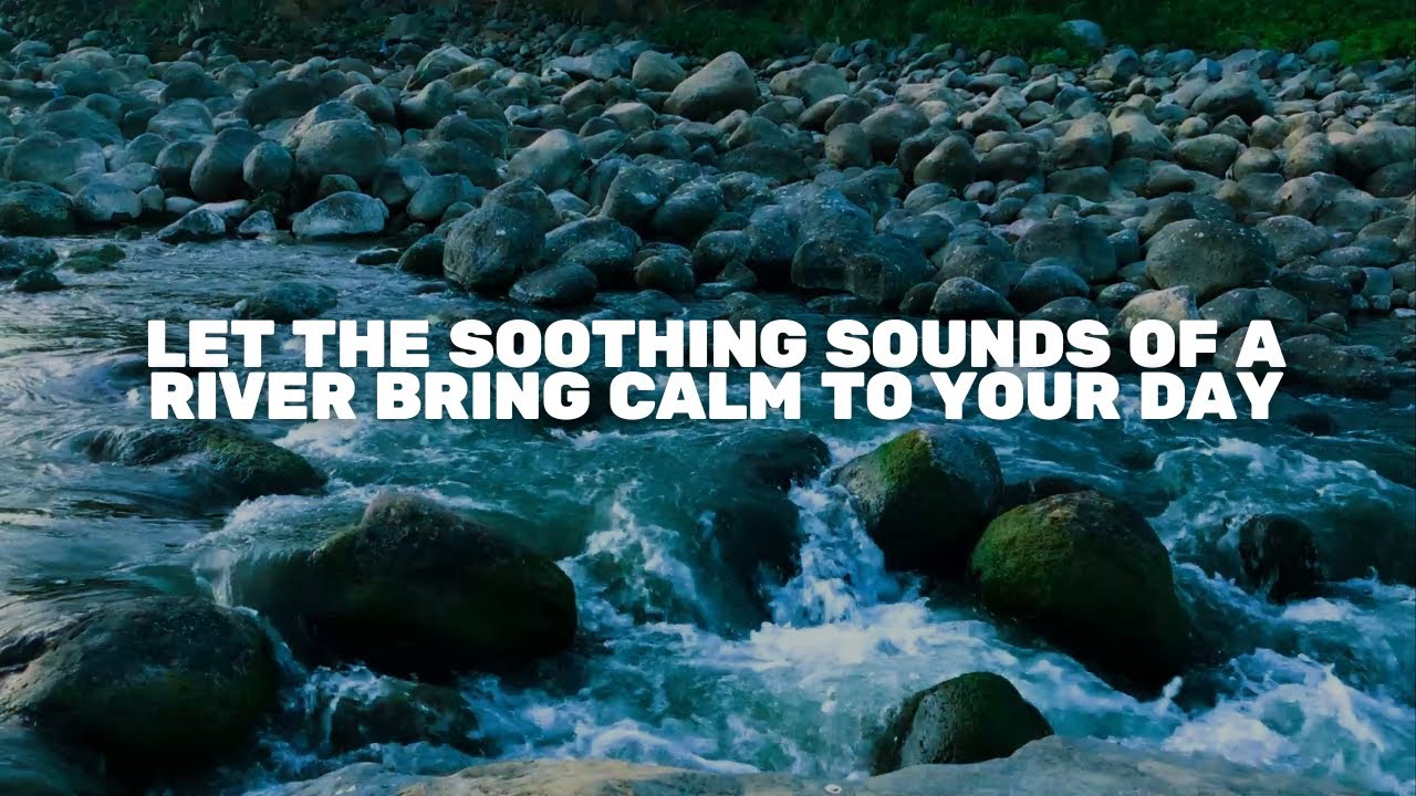 Let the Soothing Sounds of a River Bring Calm to Your Day - YouTube