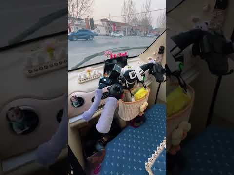 Is this tricycle nice? #tricycle #minicamper #minicar #funny #carcamping #limousine #travel