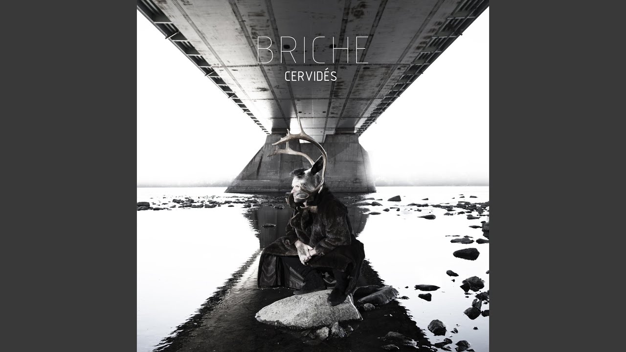 Luap - YouTube Music