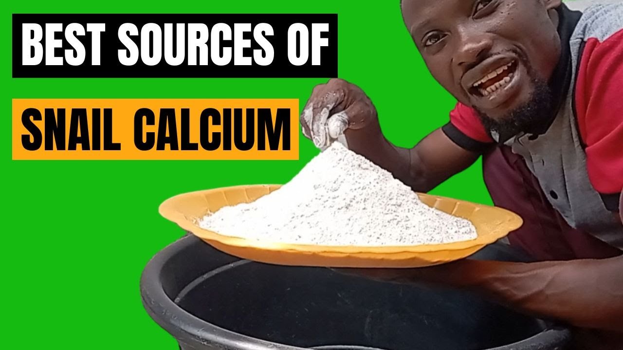 How to Make Snail Calcium with different Calcium Sources # ...