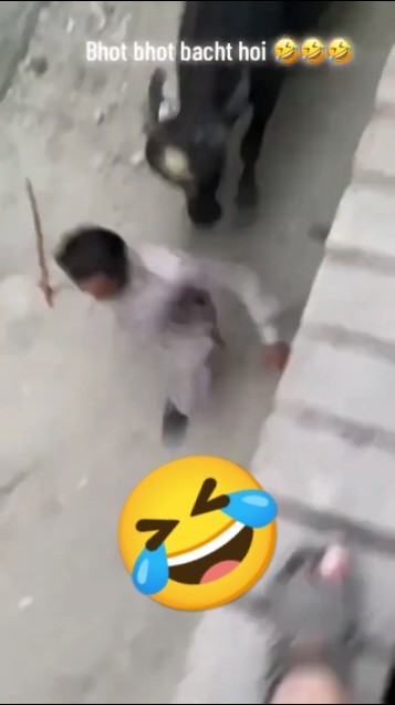 Bhot Bhot Bacht Hoi 🤣| Bull Chase Gone Wrong! #Shorts” #shortsfeed # ...