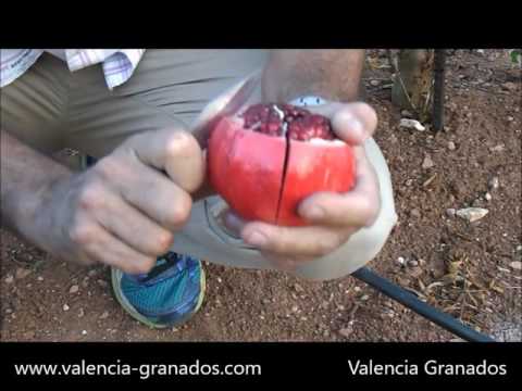 COMO PELAR UNA GRANADA.