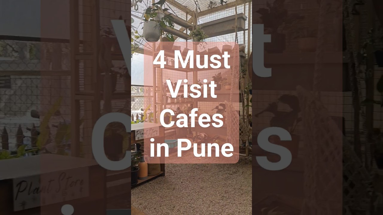 Visit these Instagrammable Cafes In Pune With friends & family #cafe # ...