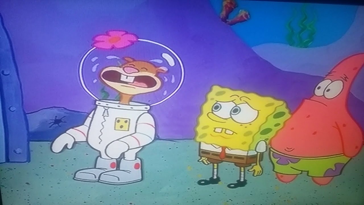 Sandy Cheeks Crying - YouTube