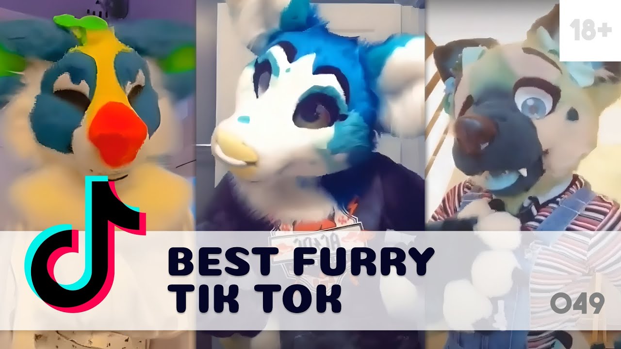 Furry Tik Toks compilation [ Ep 049 ] - YouTube