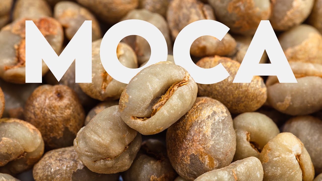 O que é moca? - One Shot About Coffee #044 - YouTube