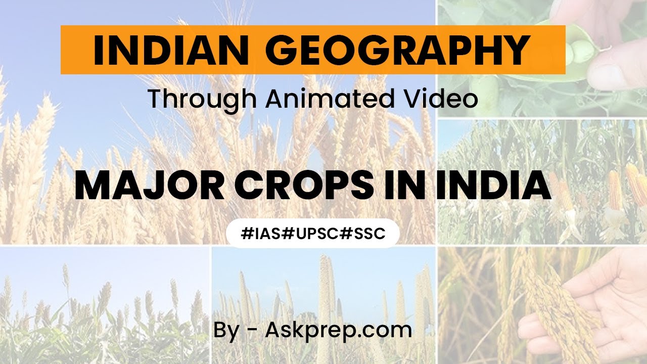 Major Crops in India Types, Distribution, and Key Facts for UPSC ...