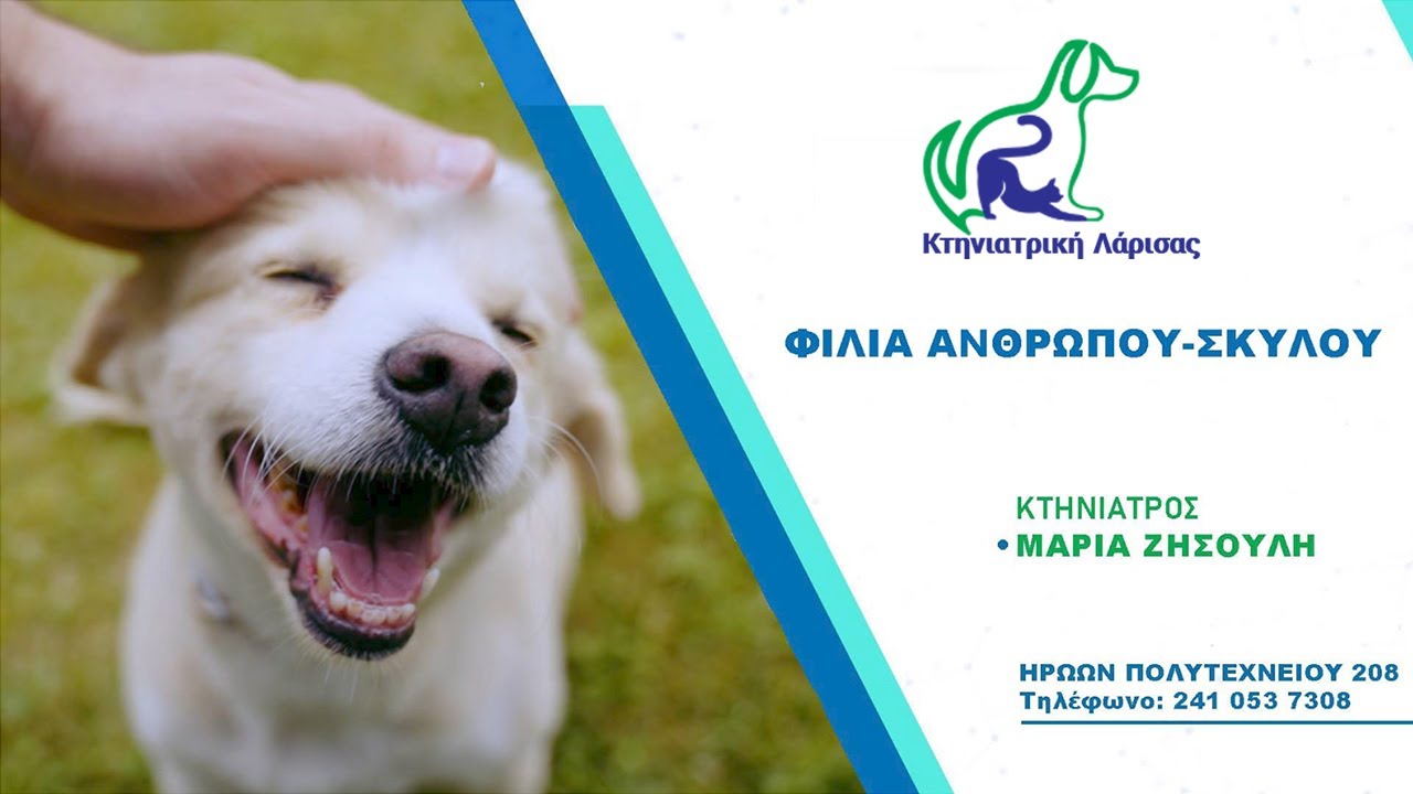 Σκύλος και άνθρωπος | Ο σκύλος είναι ο καλύτερος φίλος του ανθρώπου ...