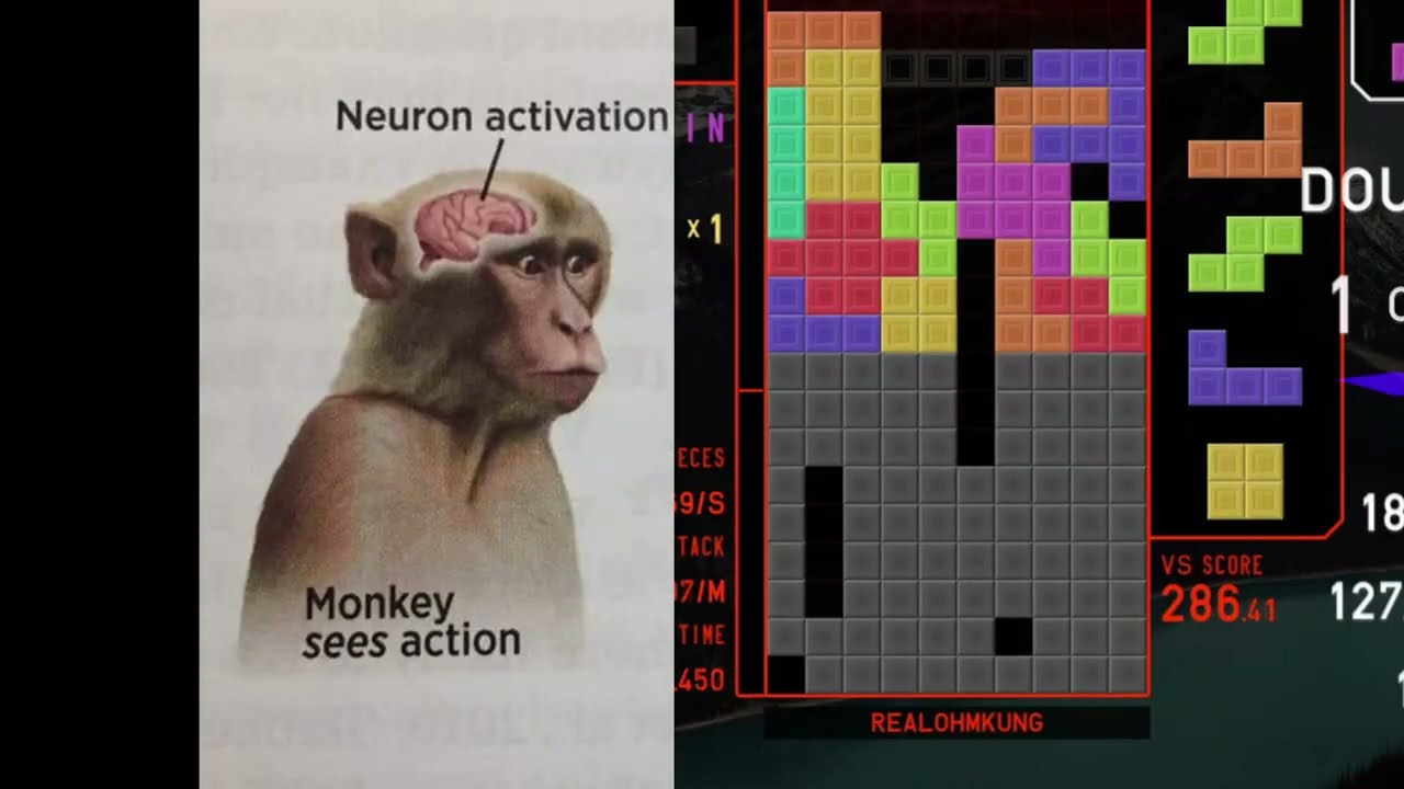 neuron activation - YouTube