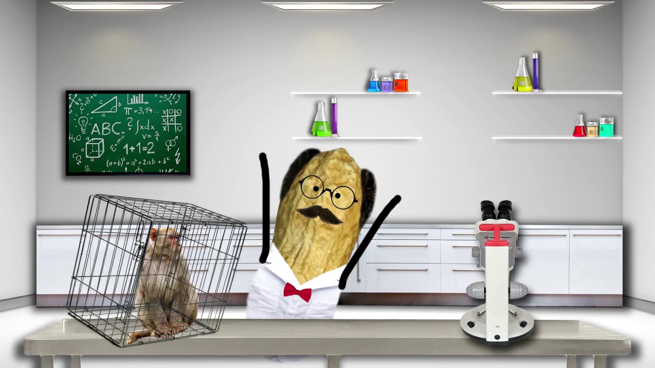 CRAZY PEANUTS - A day in the laboratory of Professor Pi - YouTube