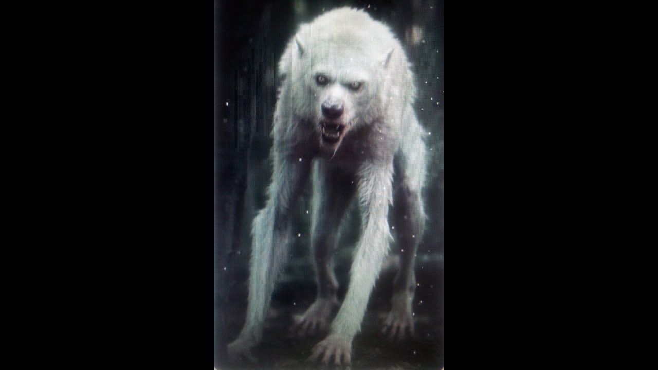 Photos for the Video "Werewolves and Deer People" - Part 1. - YouTube