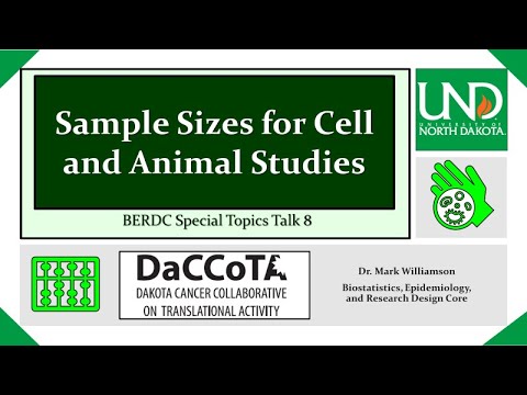 Sample Sizes for Cell and Animal Studies - YouTube