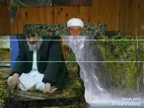 Maşallah Seyh seyda masallah