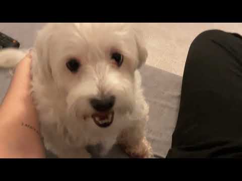 Popo kaşıma istasyonu