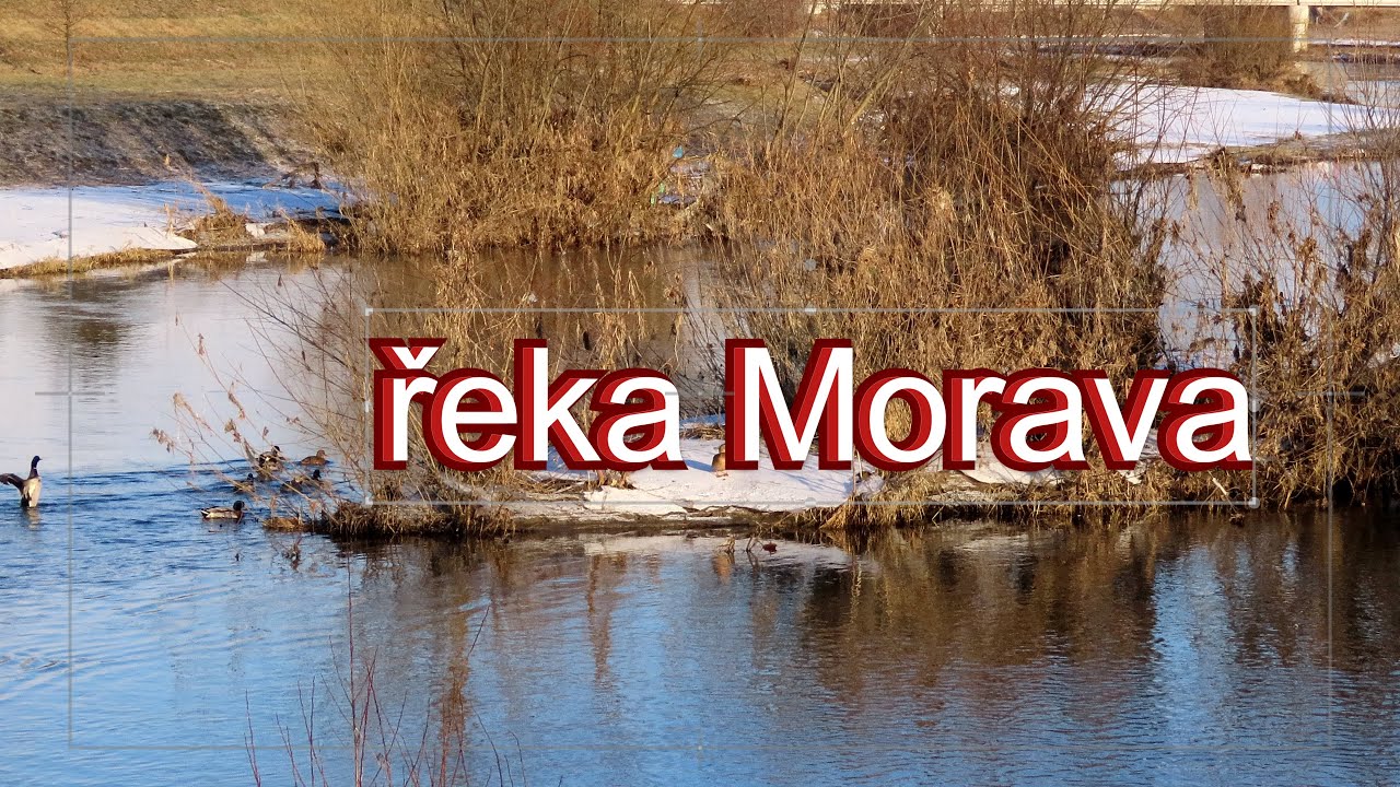 řeka Morava, Morava River - YouTube
