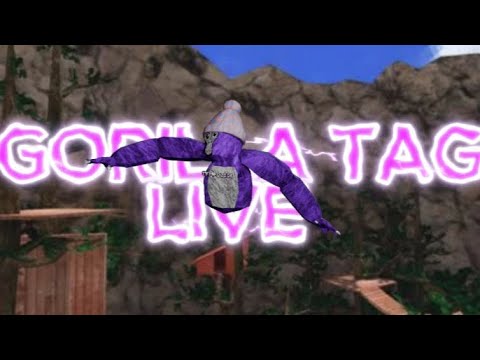 GTAG LIVE WITH YOU! ROAD TO 400!!#shorts - YouTube