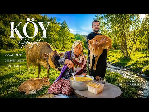 JERSEY İNEK DOĞUM YAPTI! 🐄🎉 SONUNDA BEKLENEN BUZAĞI GELDİ | ÇOK MUTLUYUZ | EN LEZZETLİ KAYMAK !