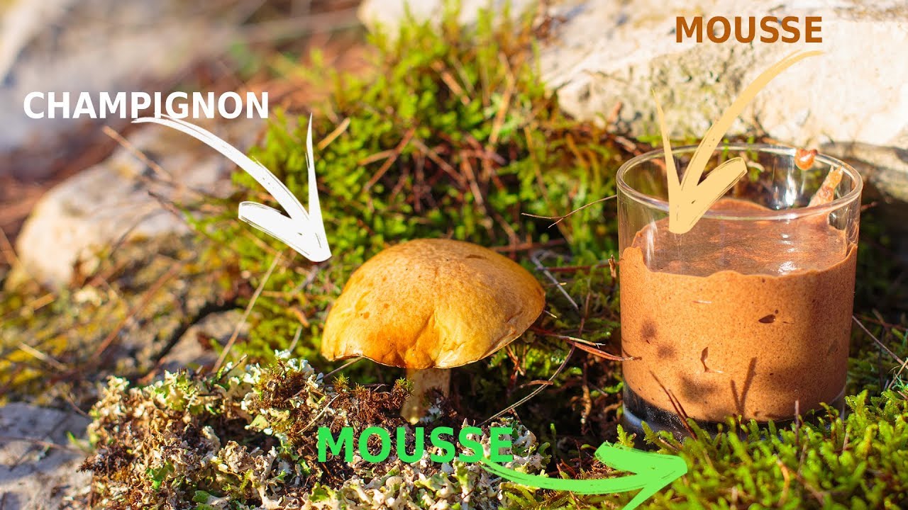 Mousse au chocolat aux champignons - 'cause, why not? - YouTube