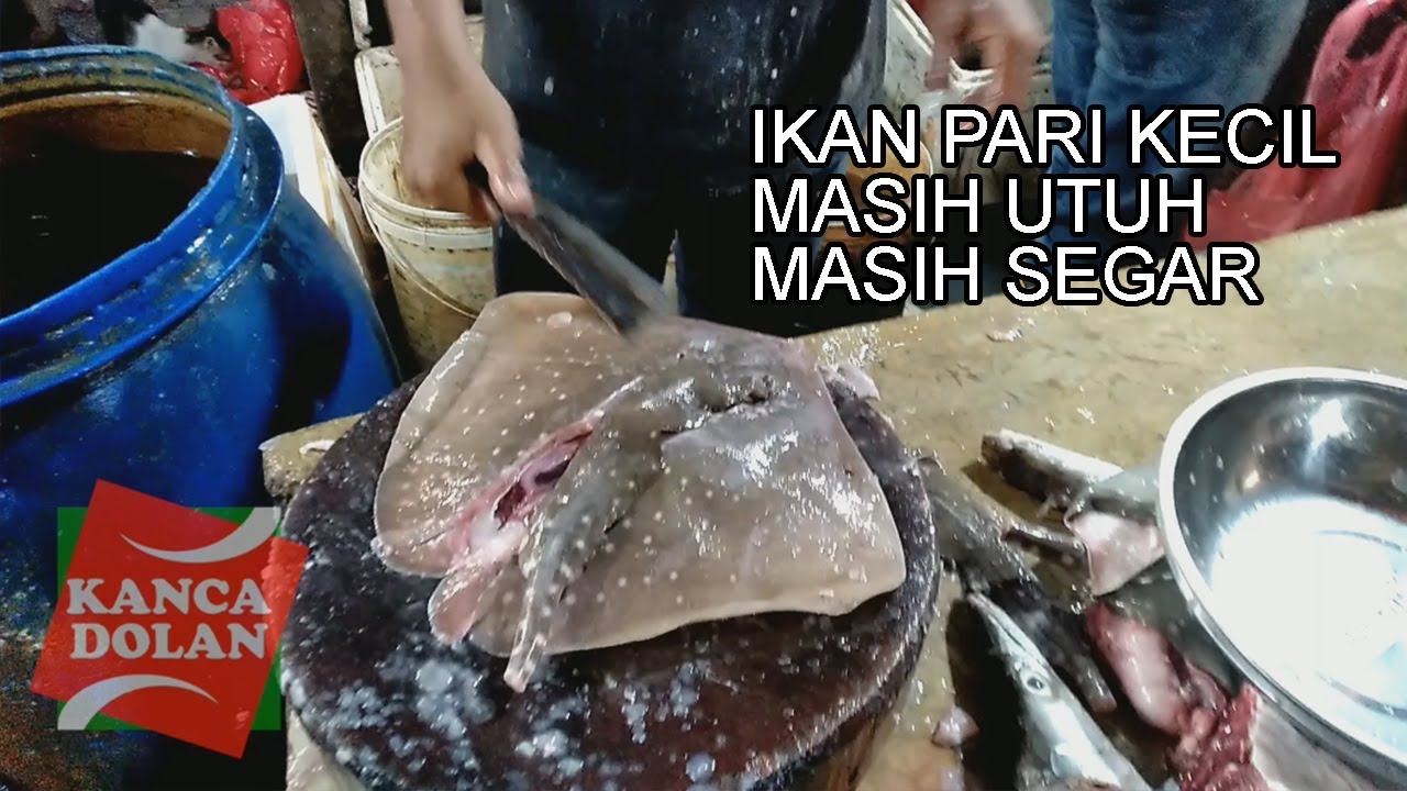 Memotong Ikan Pari | Cutting Fish & Crab - YouTube