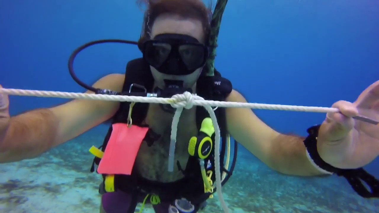 Search and Recovery during the Divemaster Course at Go Pro Blue Magic ...