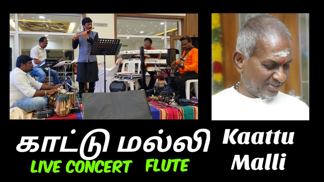 Kattu Malli #covaibeats #flute #wedding #fluteinstrumental # ...