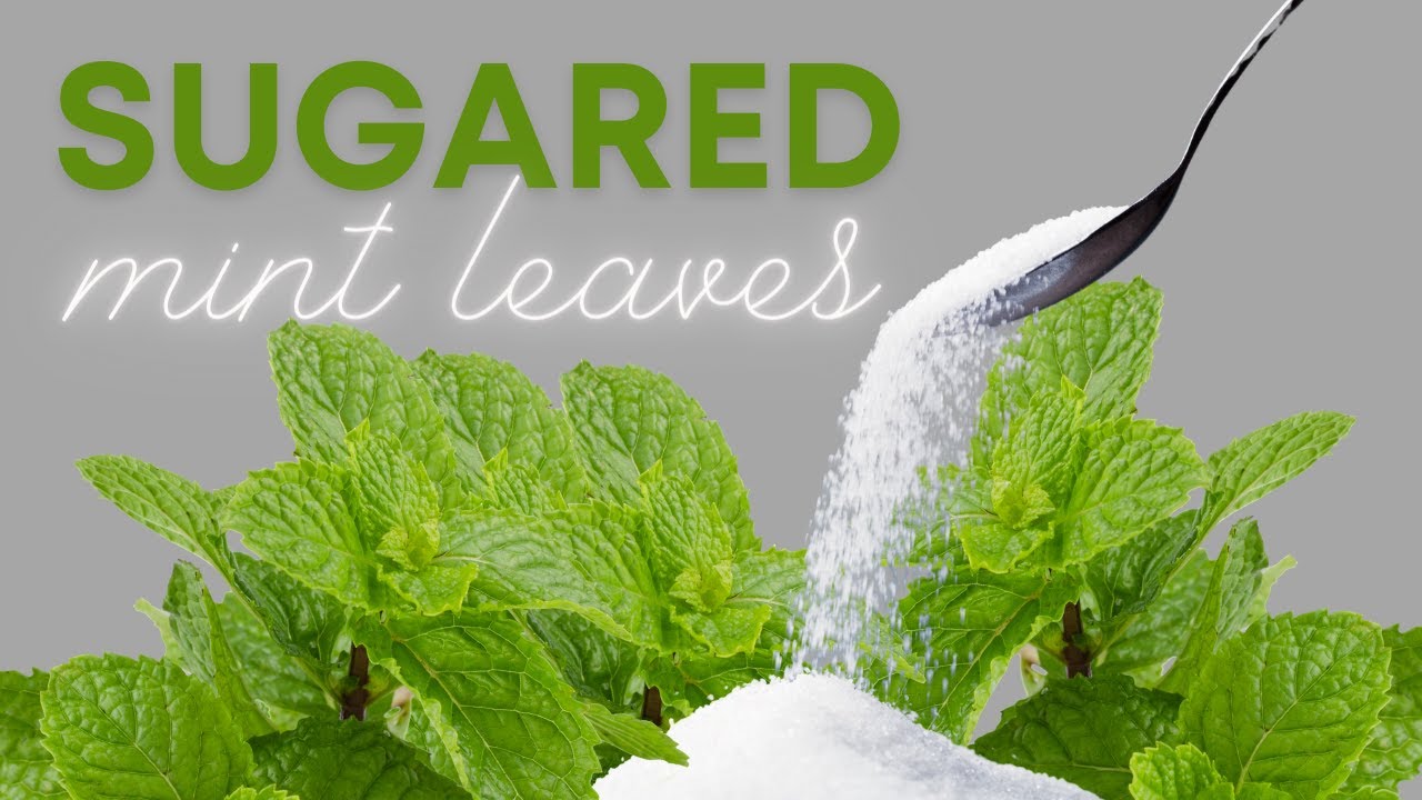 Sugared Mint Leaves - YouTube