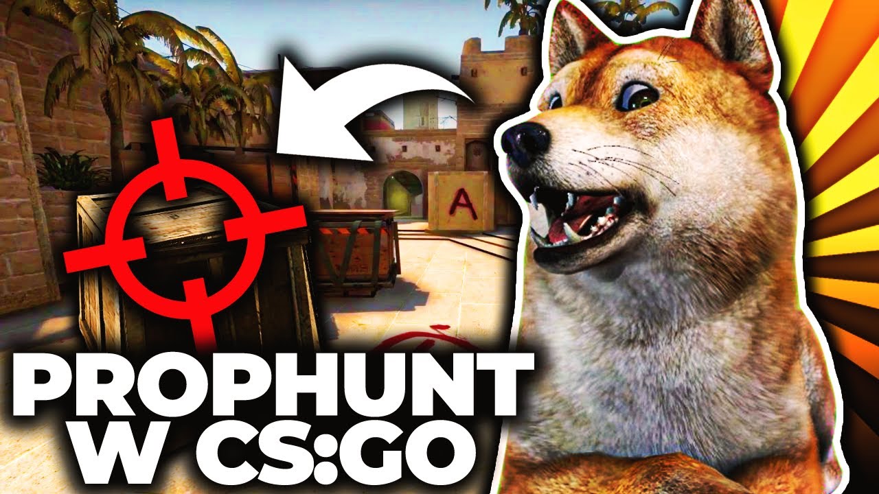 TROLUJE WIDZÓW NA PROP HUNT w CSGO 😅 - YouTube