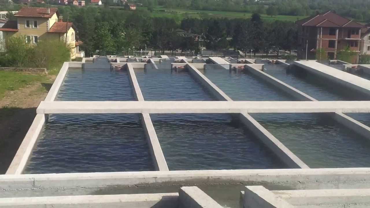 Hurdha e peshkut sh.p.k " PESHK ISTOGU " - Fish farming. - YouTube