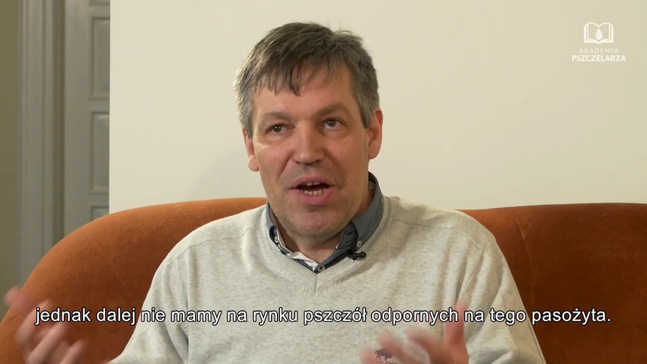 ROZMOWY O PSZCZOŁACH - PER KRYGER - YouTube