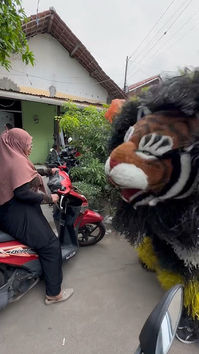 Emak naik motor hampir dimakan can macanan - YouTube