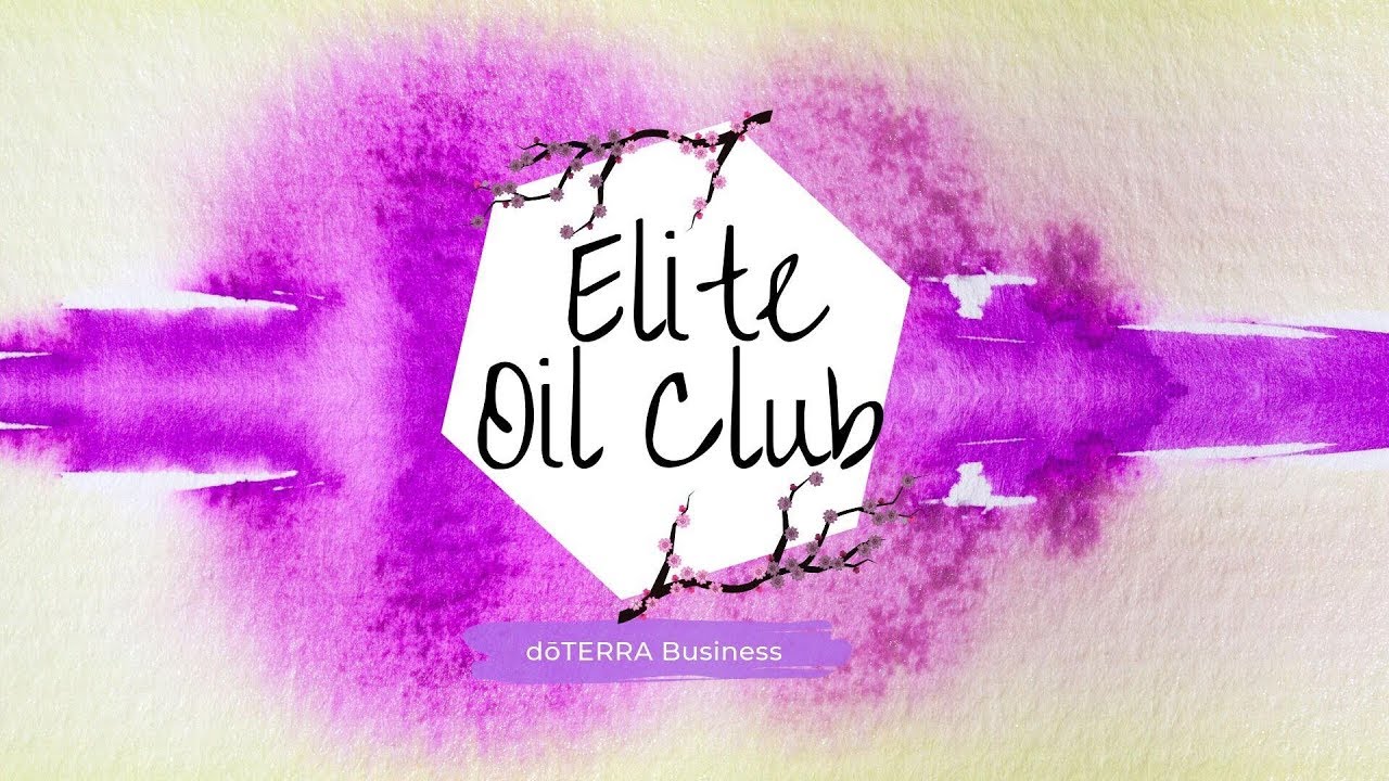 Elite Club HD 720p - YouTube