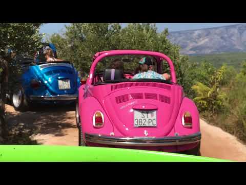 Beetle Safari Hvar Croatia - YouTube